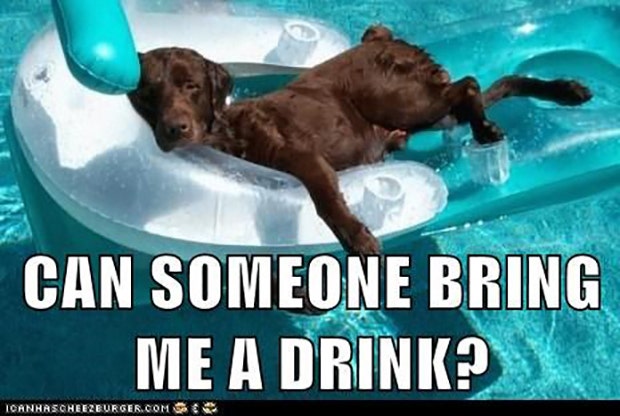 50 Funny Pool Memes To Get You Excited For The First Day Of Summer Yourtango